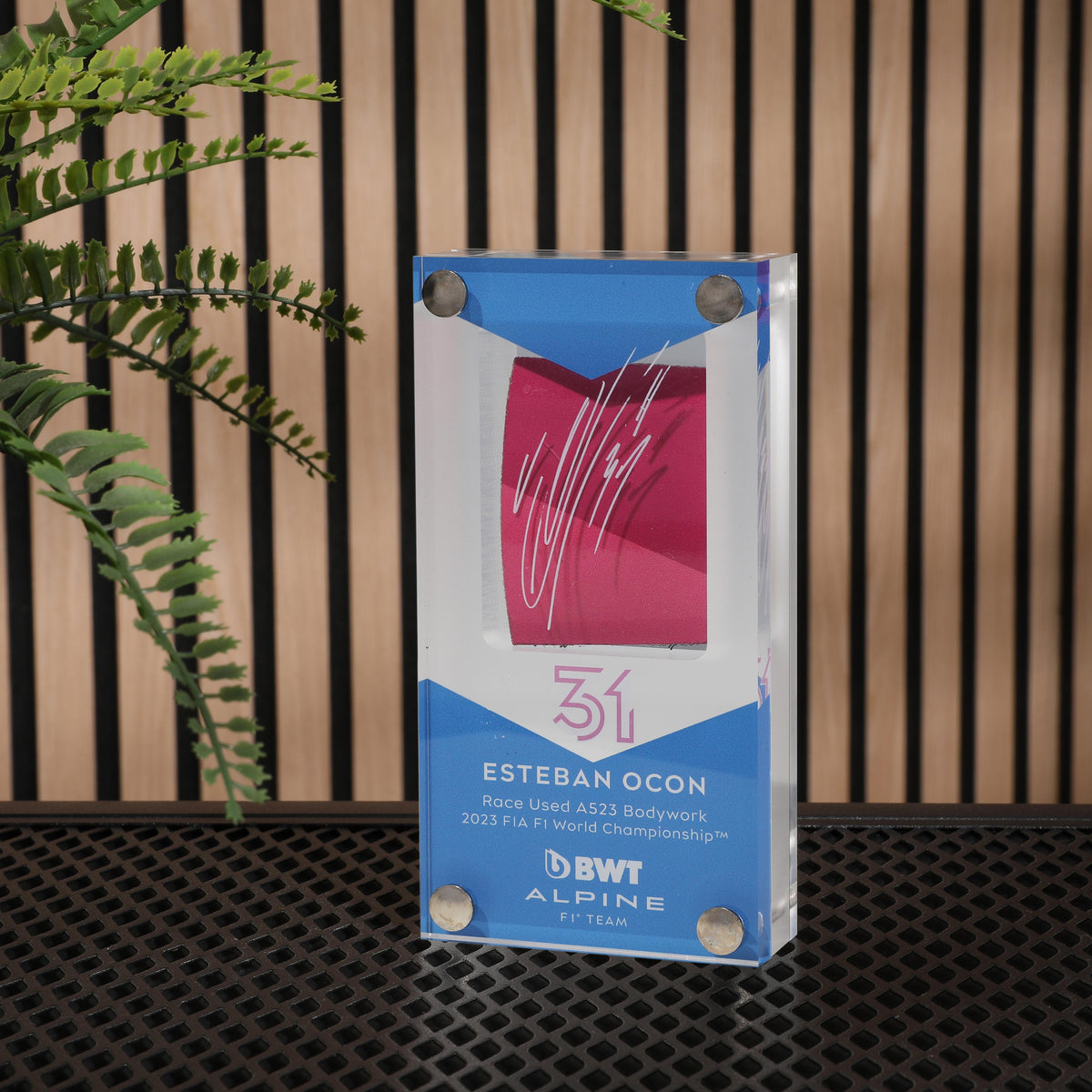 Esteban Ocon 2023 Bodywork In Acrylic – F1 Authentics