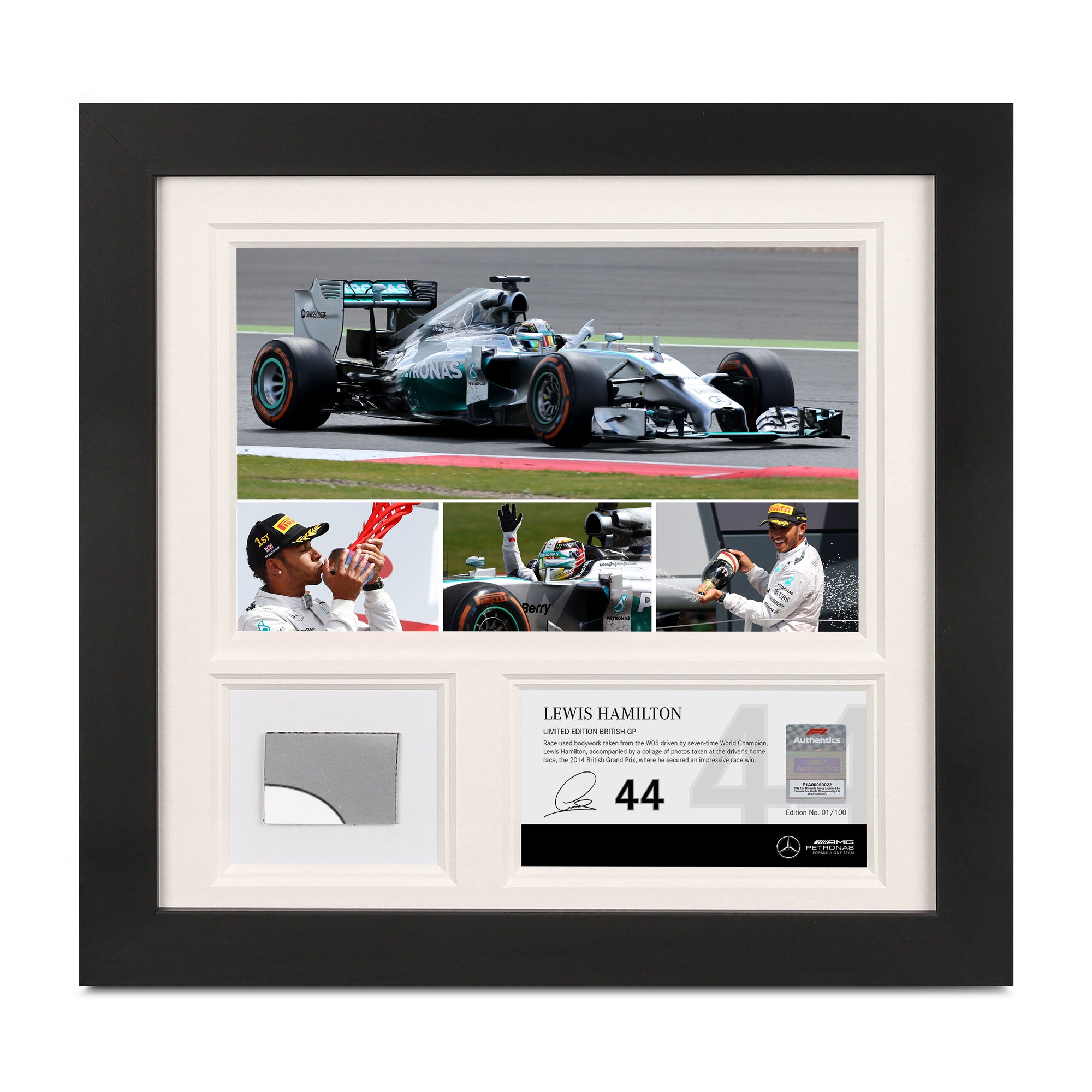 Limited Edition Lewis Hamilton 2014 Bodywork & Photo Collage – British