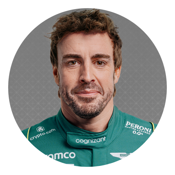 Official F1® Bodywork in Acrylic | Race Used F1® Bodywork in Acrylic ...