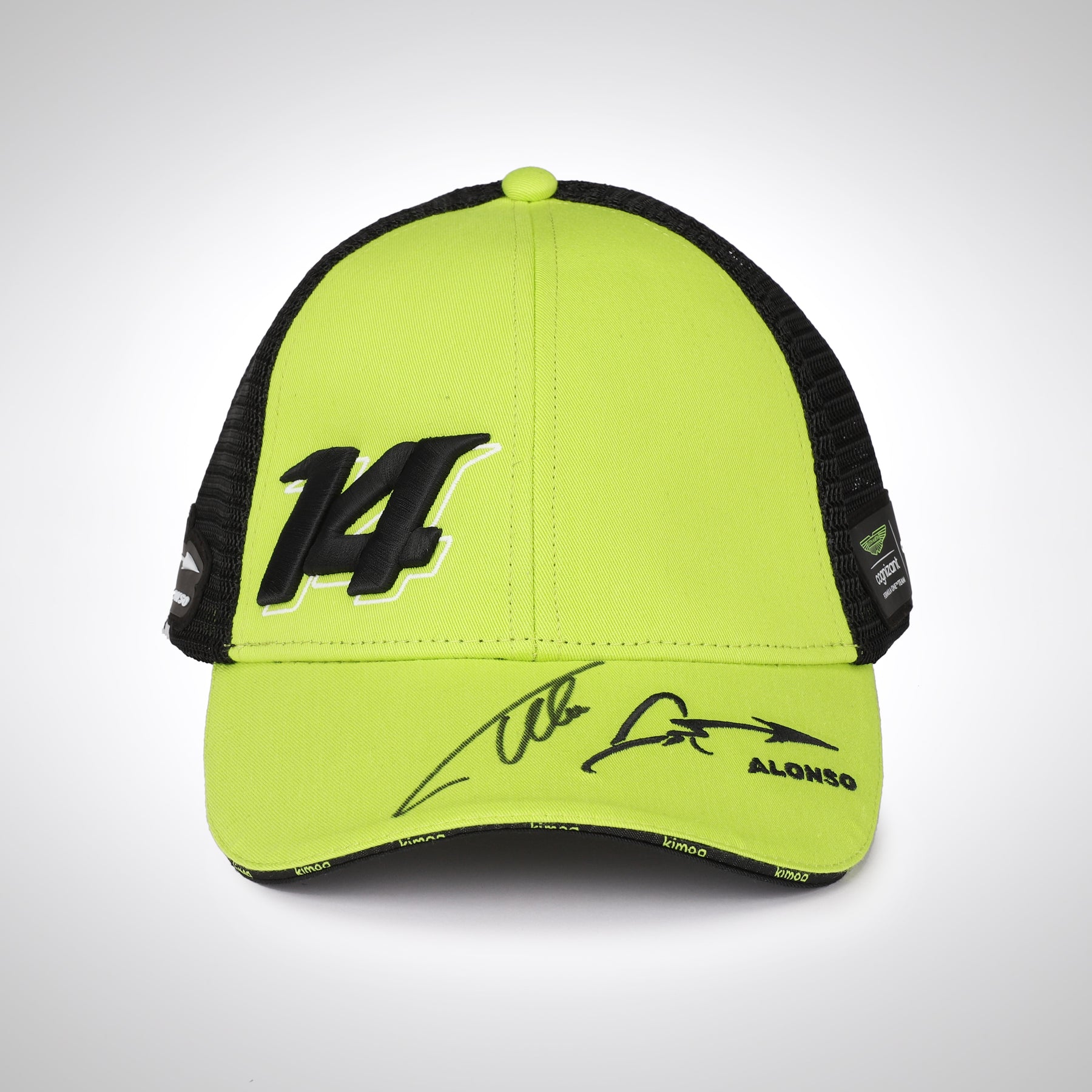 Fernando Alonso F1® Memorabilia | F1 Authentics