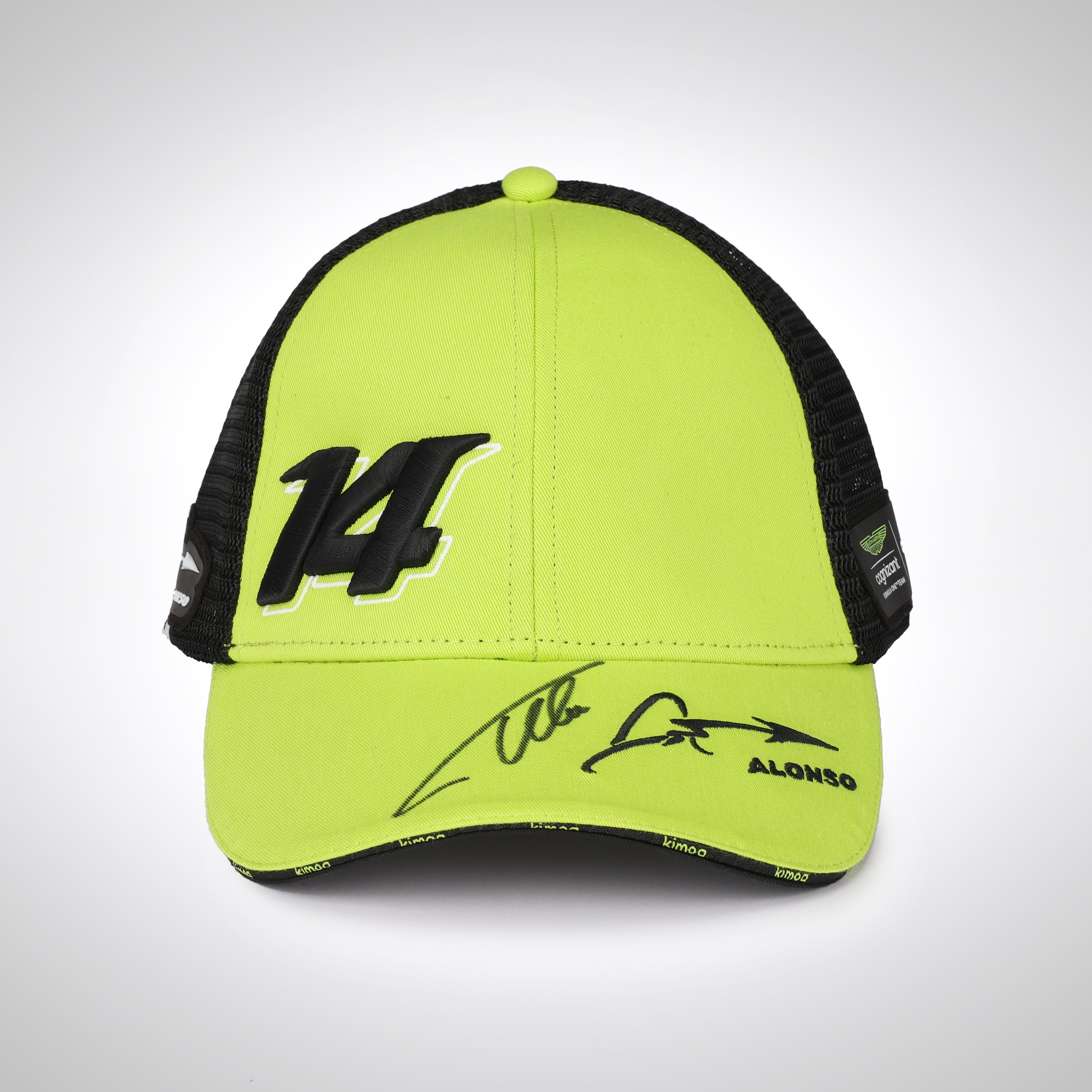 Fernando Alonso F1® Memorabilia | F1 Authentics